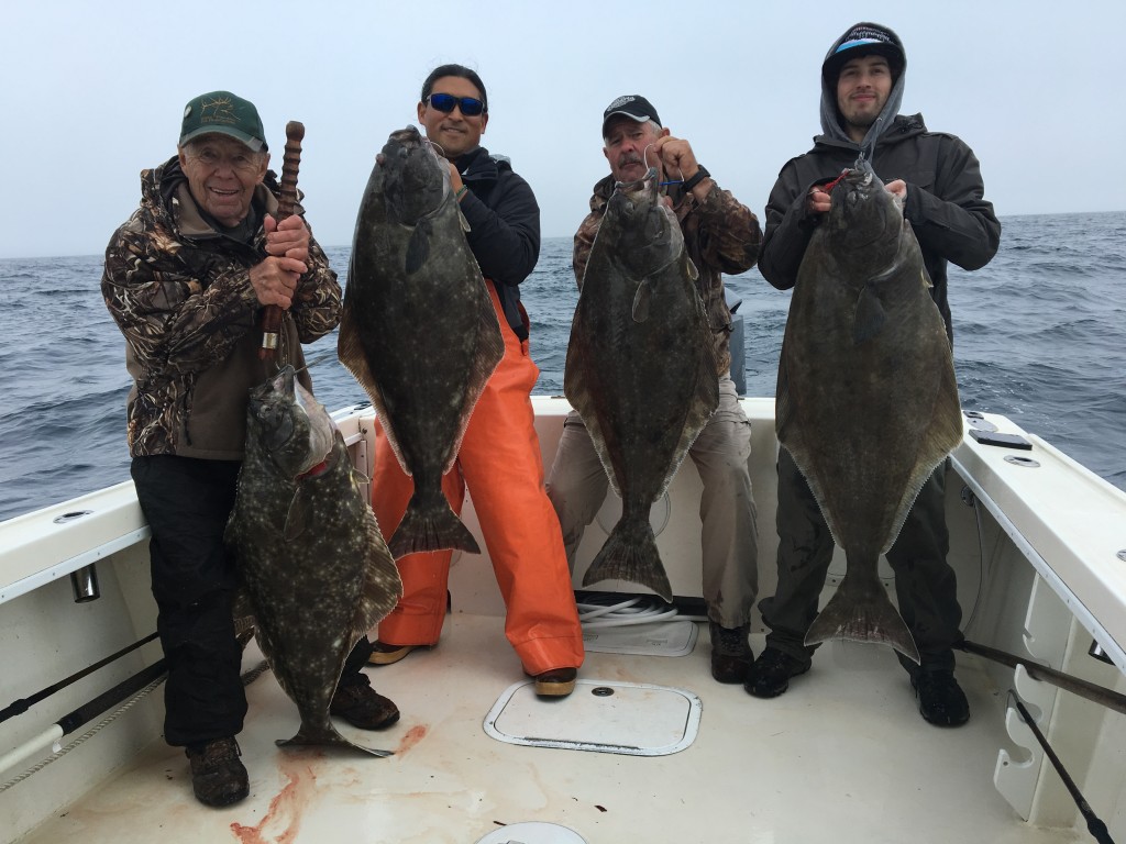 Pacific Halibut going strong | Coastline Charters